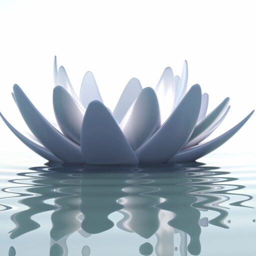The Four Energy Fields - Self-Knowledge.com
